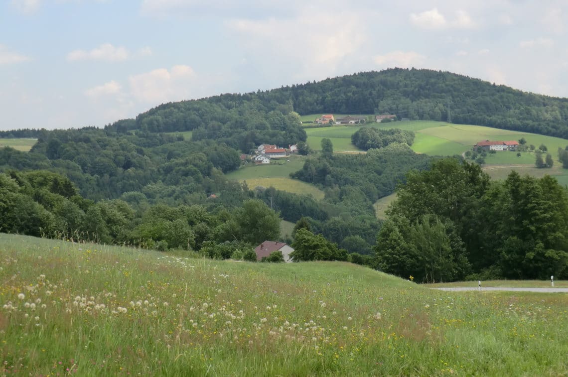 Rundwanderweg Seebach 🥾 | deggendorf.travel